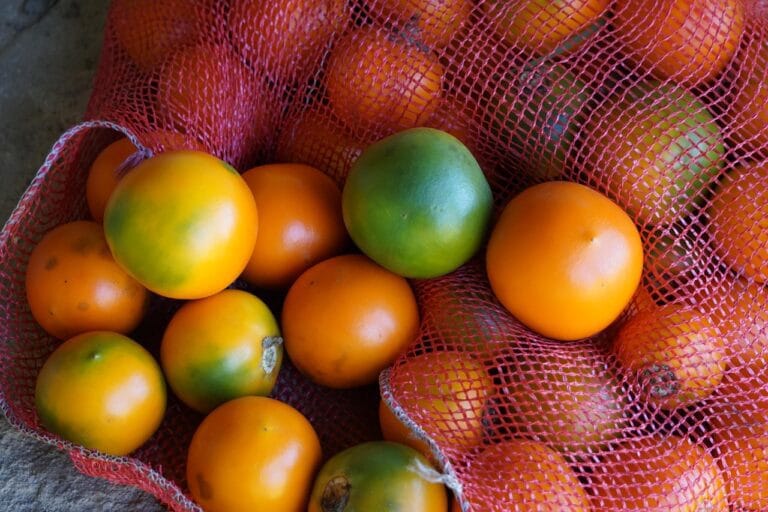 20 Most Common Fruit in South America: | fruitpath.com