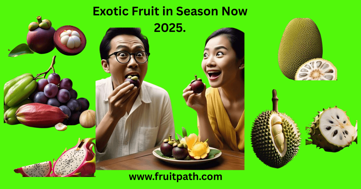 Exotic Fruit in Season Now 2025: The Nature’s Rare Treasures ...