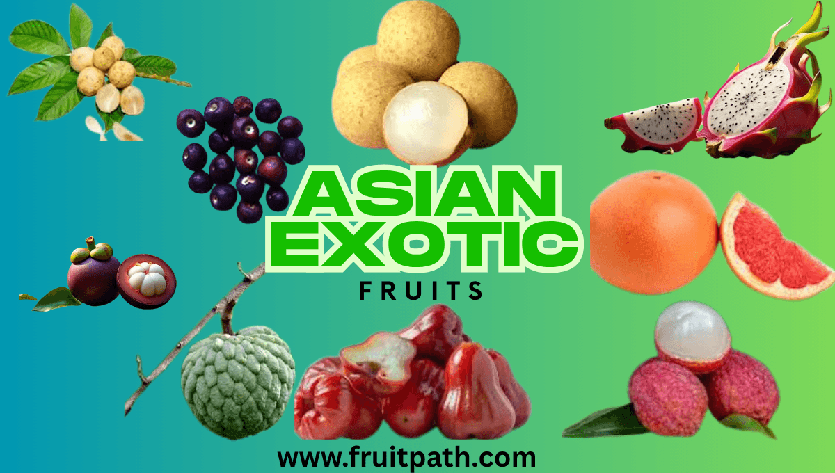 Nature's Candy: The Secrets of Asian Exotic Fruits: | fruitpath.com