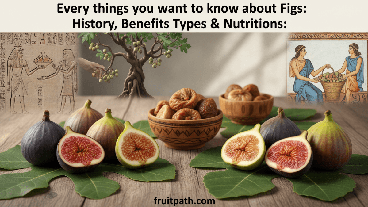 Everything You Want to Know About Figs: History, Benefits, Types ...